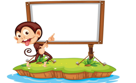 Exploring the Fascinating World of Monkey's Board